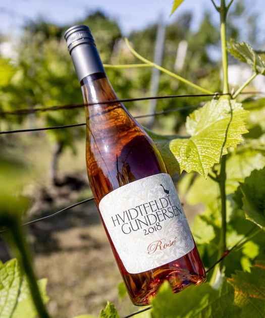 Hvidtfeldt Gundersen - GÅSENÆB ROSÉVIN – Kræmmerhuset